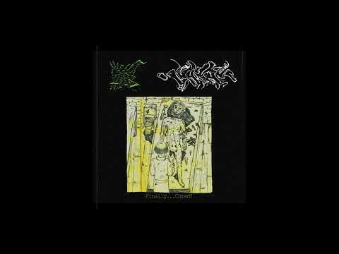 Maggot Infested Head x Ingestion Of Putrefying Body Parts FULL SPLIT (Goregrind, Gorenoise)