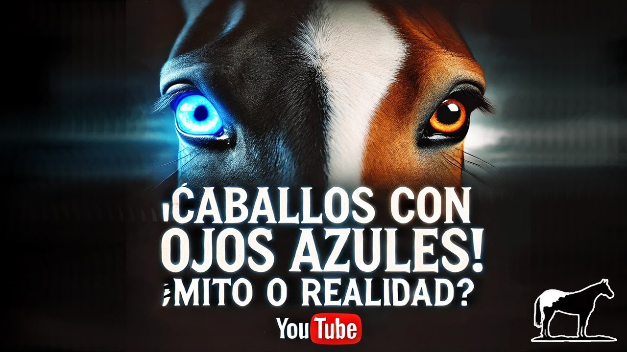 Ojos Zarcos En Los Caballos ¿Que Son? 🐴-Del Cerro Soy - YouTube