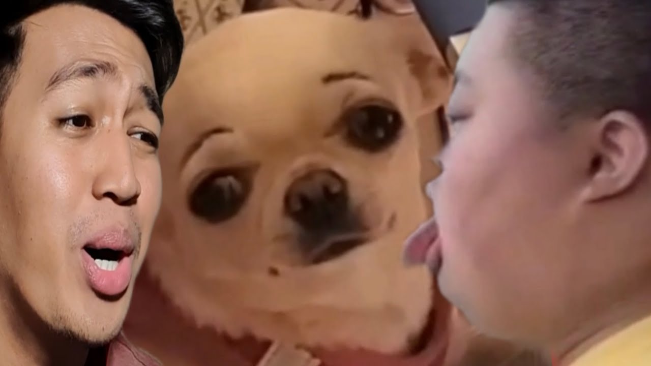 Don't Laugh while watching this video.😅 Challenge 1. Try not to Laugh ...