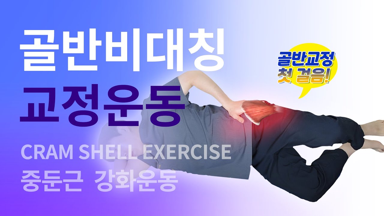 골반교정의 첫걸음! - 골반 교정운동 / Cram shell exercise / 중둔근 강화 - YouTube