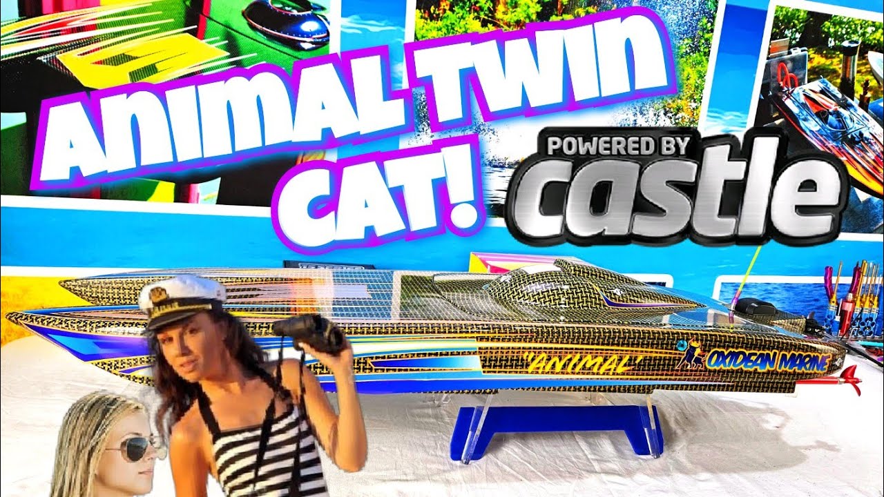 CASTLE POWERED ANIMAL TWIN CAT BY OXIDEAN MARINE RC BOATS! - YouTube