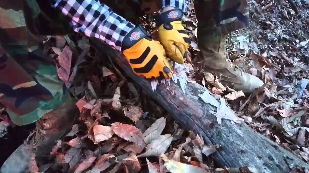 Simple Bush Craft. With friends !! - YouTube