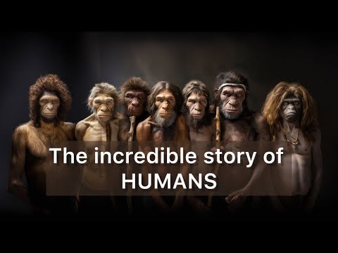 Human evolution - YouTube