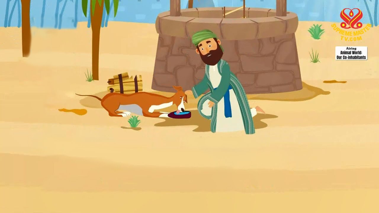 1506 AW The Prophet Muhammad (Peace Be Upon Him) and Loving Animal ...