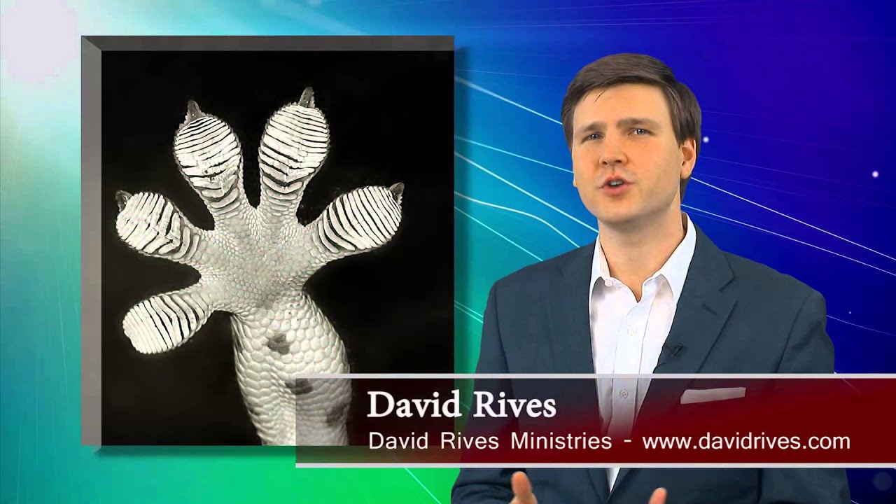 Gecko Feet Don't Display Evolution | David Rives - YouTube