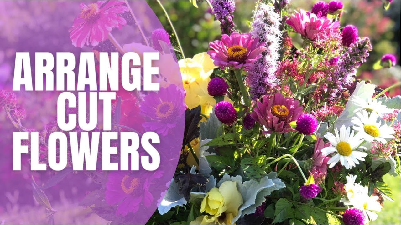 Cut Flower Garden || Arranging Cut Flowers || Easy Flower Arranging ...