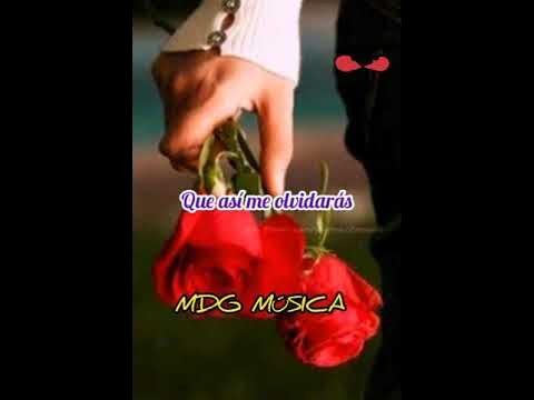 Volverás por mí - Chelo [LETRA] - YouTube