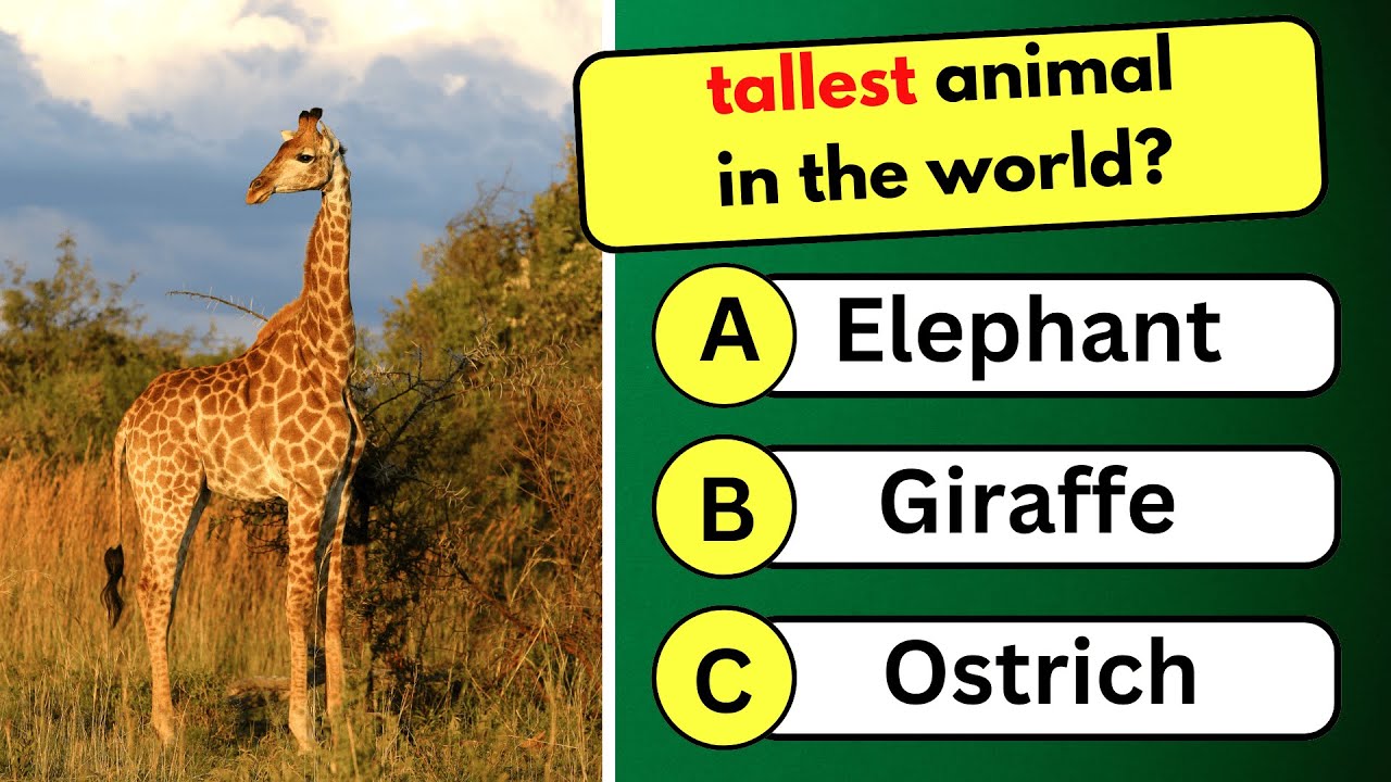 General Knowledge Questions About Animals! 🐘🦒🐎 Animals Knowledge Trivia ...