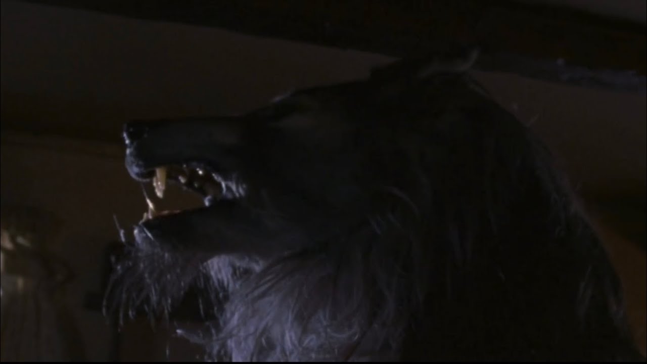 Dog Soldiers Gif