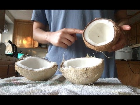 HOW TO OPEN MATURE COCONUTS