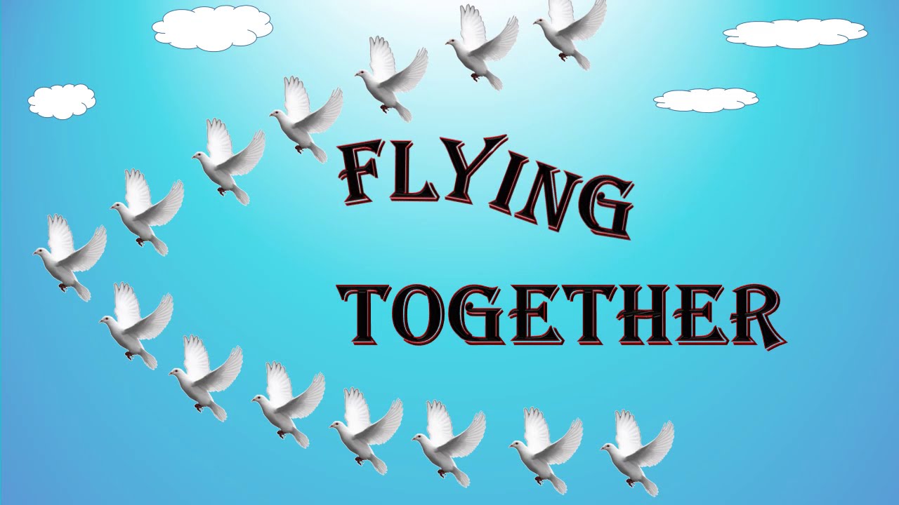 NCERT Class V - English - FLYING TOGETHER - YouTube