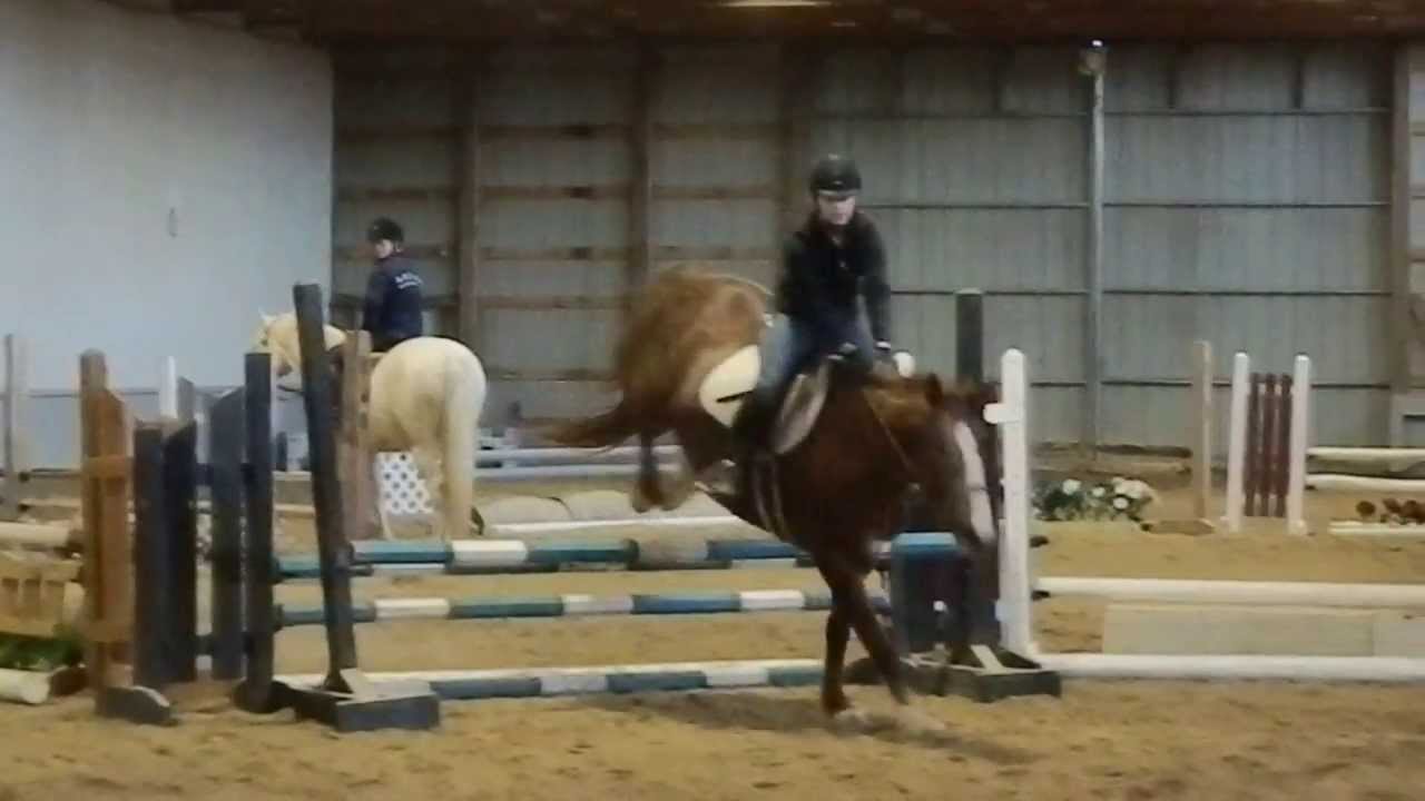 Newstar Erin Gen 2 20102014