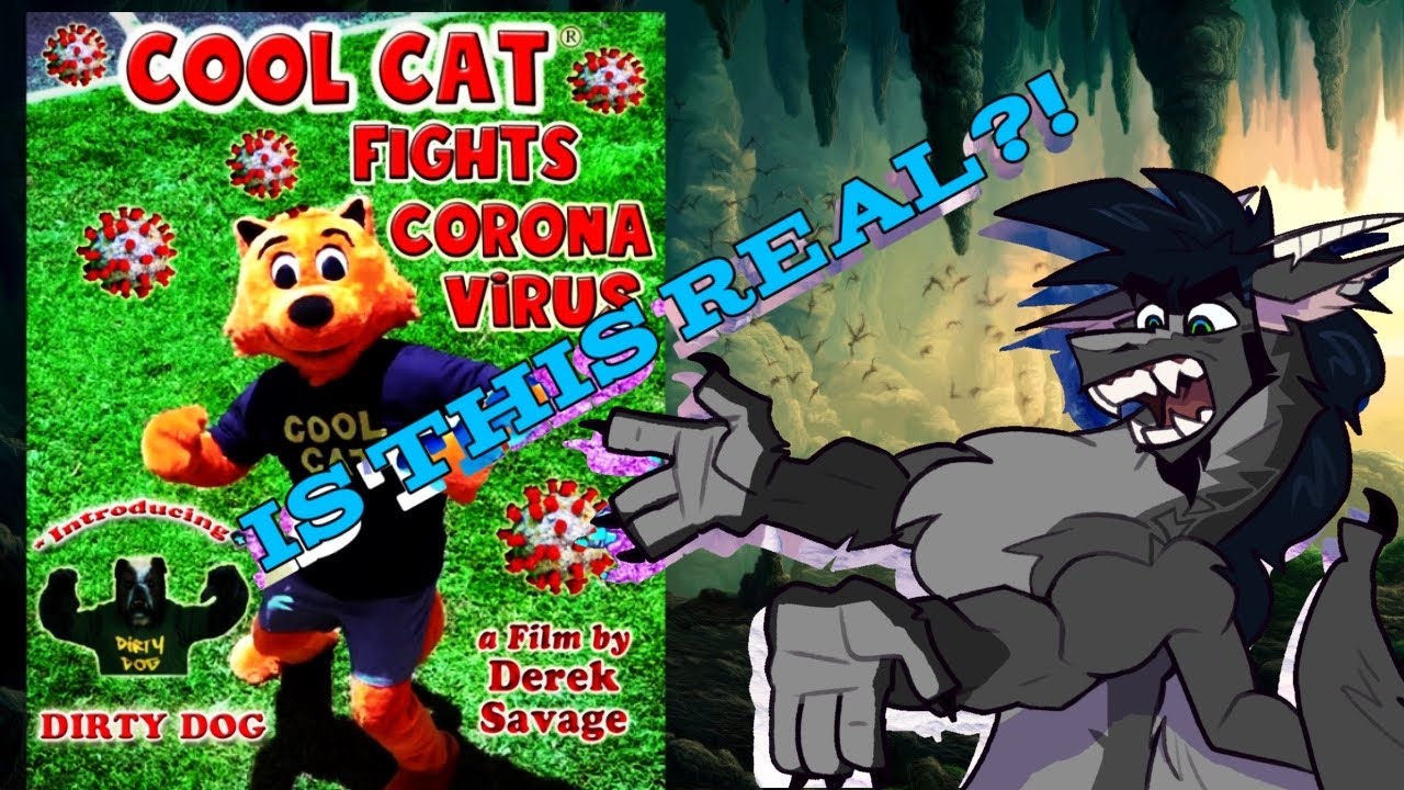 Cool Cat FIGHTS WHAT - YouTube