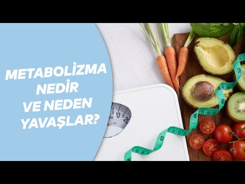 Metabolizma Nedir?