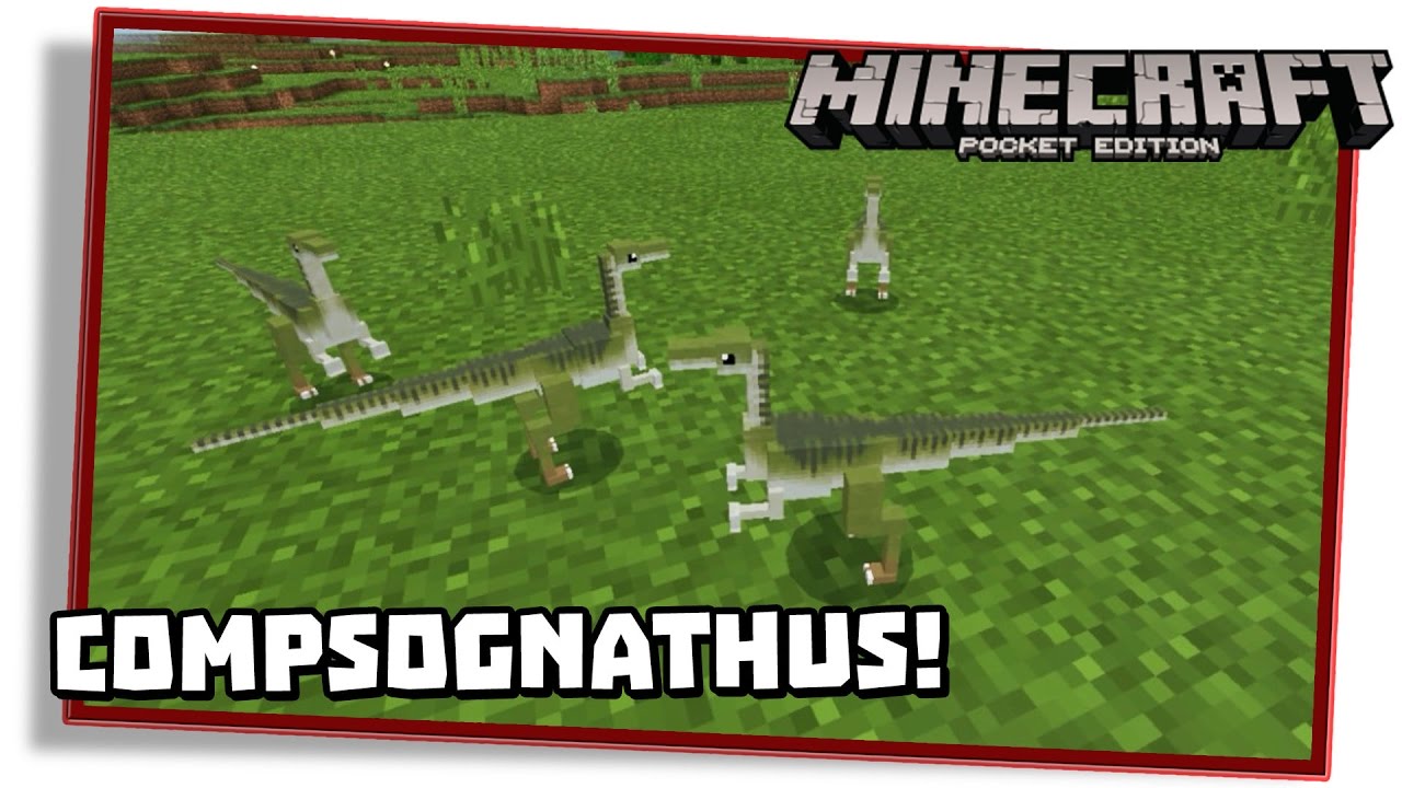 Minecraft PE 1.0: MAIS UM DINOSSAURO COMPSOGNATHUS NO MCPE! (Add-on ...