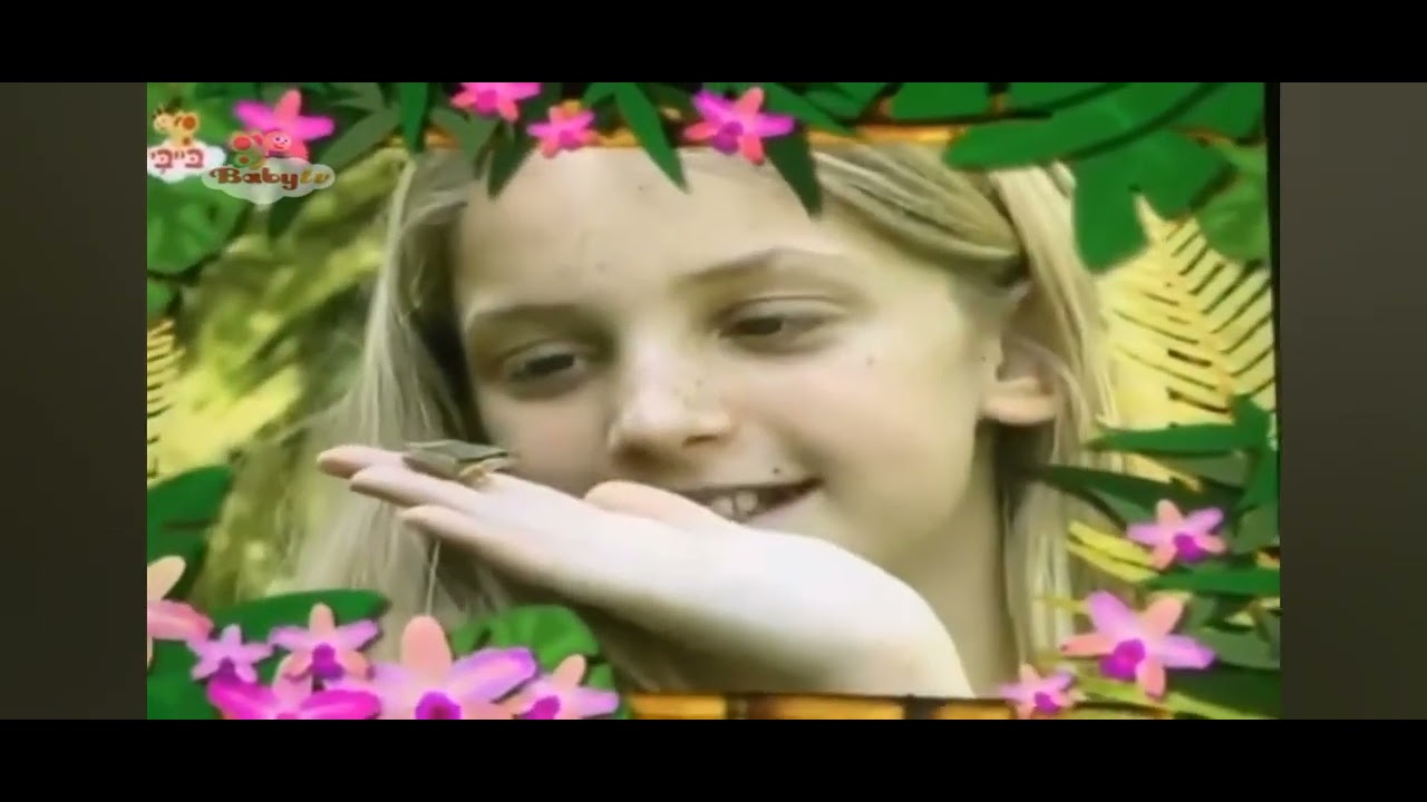 Babytv The Amazing World Jungle Swamps - YouTube