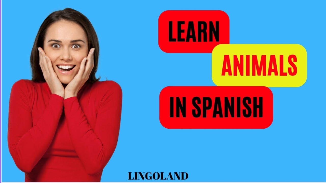 ANIMALS IN SPANISH [ LOS ANIMALES] LESSON 8 - YouTube