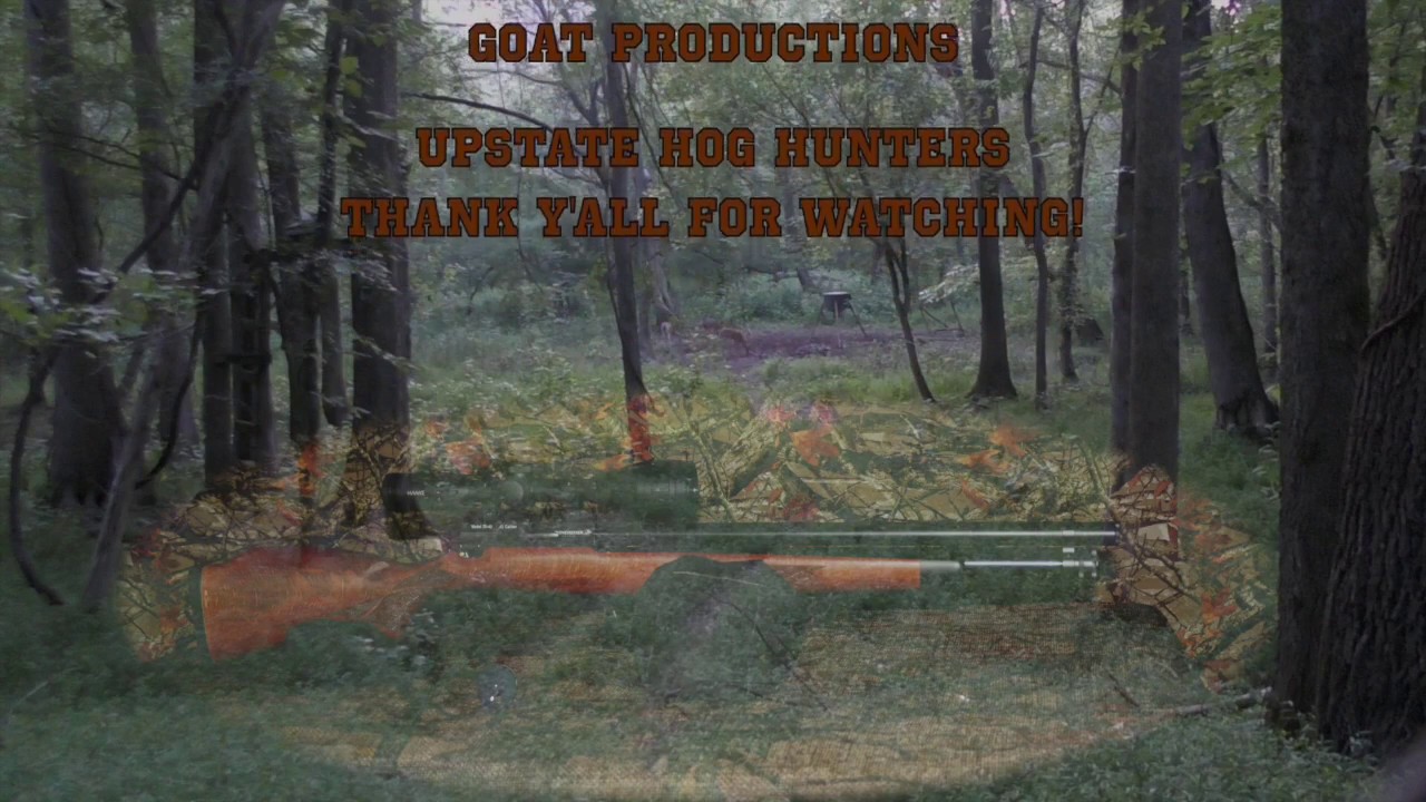 Guided Hunt With Mark Anderson (Upstate Hog Hunters) - YouTube