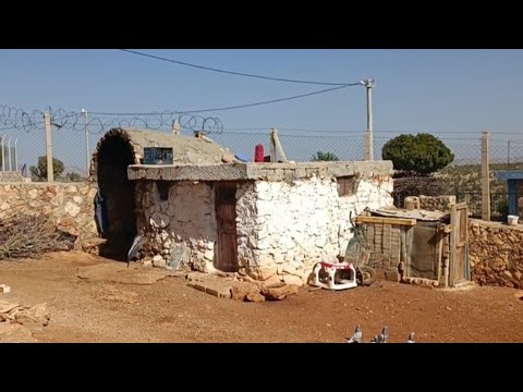 MardinLi  Emlakçı CEMAL yüksel Abimizin Efsane Bol SEFERLİ Oyun kuşları Her Zaman Kalite Akşam 9da