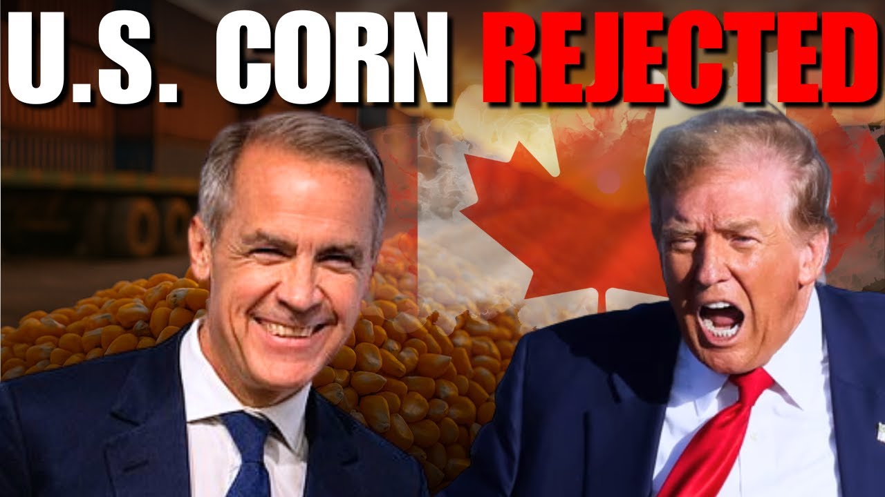 US Corn REJECTED Worldwide — Canada Takes the Throne - YouTube
