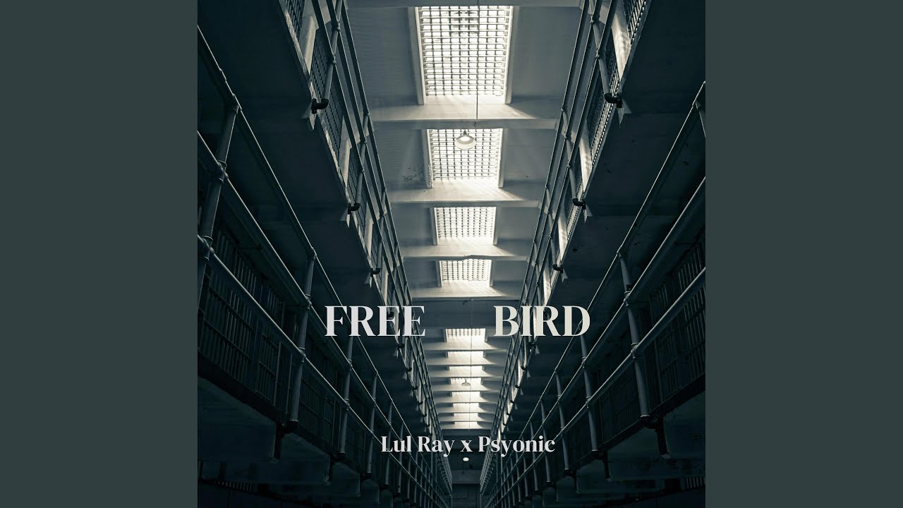 Free Bird (feat. Lul Ray) - YouTube