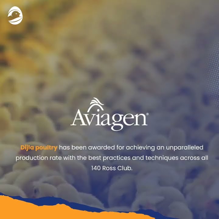 Dijla Poultry has been awarded by Aviagen - YouTube