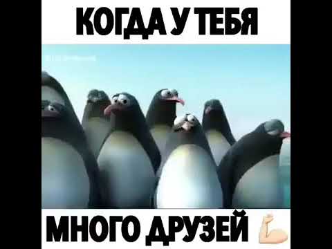 Pirkol