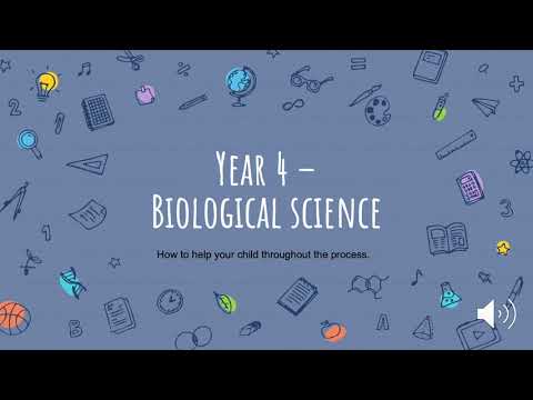 Year 4 : Biological Science - YouTube