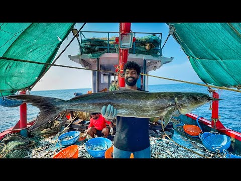  ‼️Deep Sea Fishing Adventure Day 2 | Massive Kolusalai Catch & Fresh Seafood Feast! 🐠🍽️ UNCUT