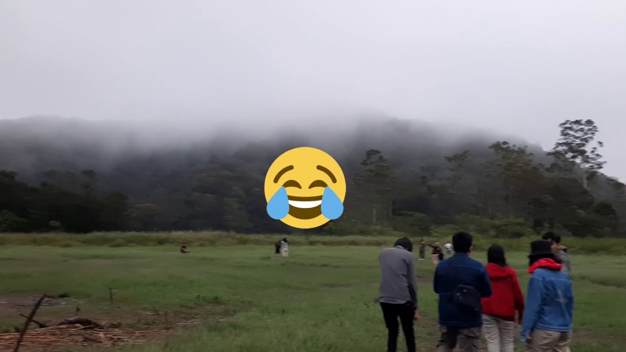 Trip Bandung! Mengejar Sunrise Ranca Upas, Dapet gak yaaa??? - YouTube