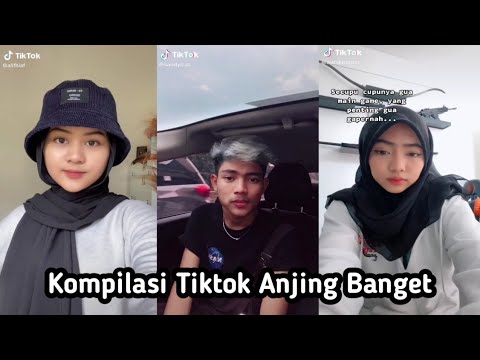 Kompilasi Tiktok Anjing Anjing Banget Terbaru 2020 || VIRAL!!