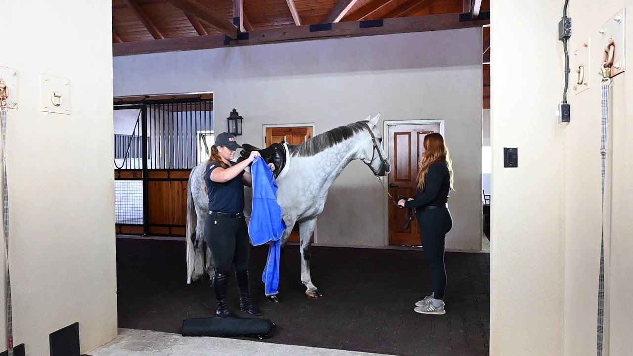 The CARRY-COOL is easy to use - YouTube