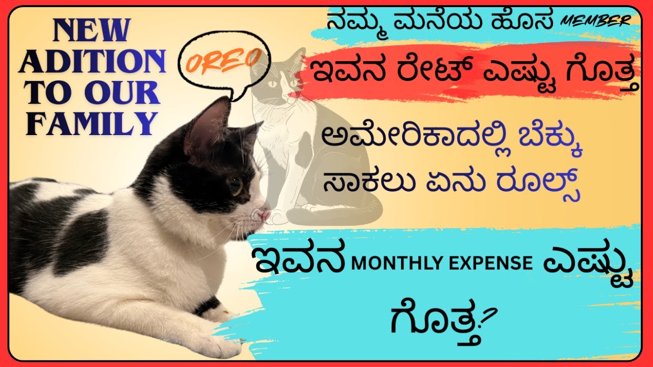Hello ಎಂದು ಹೇಳುವ ಬೆಕ್ಕು - ನಮ್ಮ ಮನೆಯ ಹೊಸ ಅತಿಥಿ - Mr. OREO. Talking Cat ...