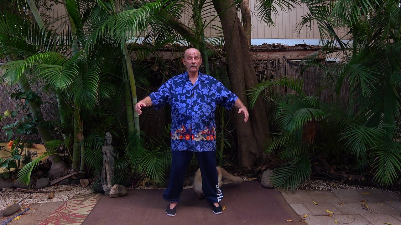 Yang Taiji Neigong Exercise - YouTube
