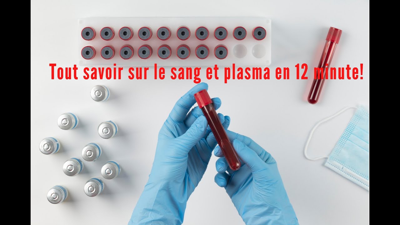 Tout savoir sur le sang et plasma en 12 minutes ! - YouTube