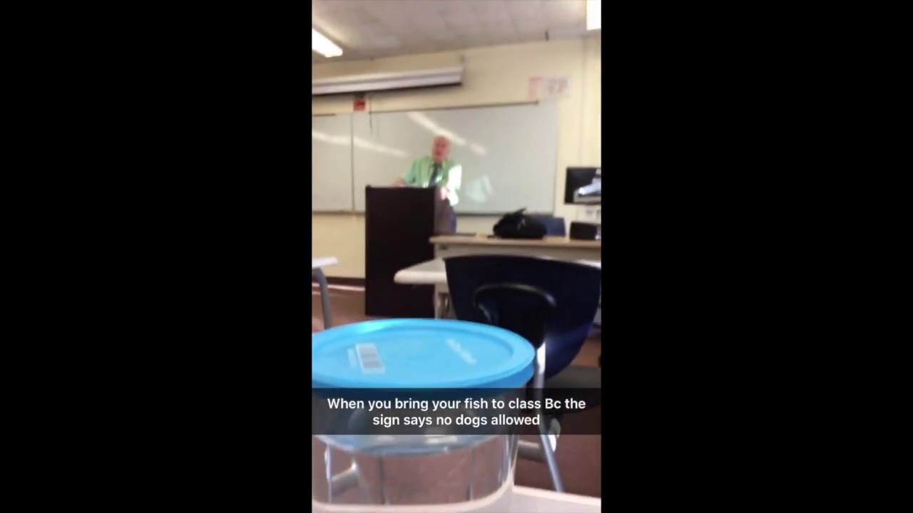 National Bring Your Fish To School day - YouTube