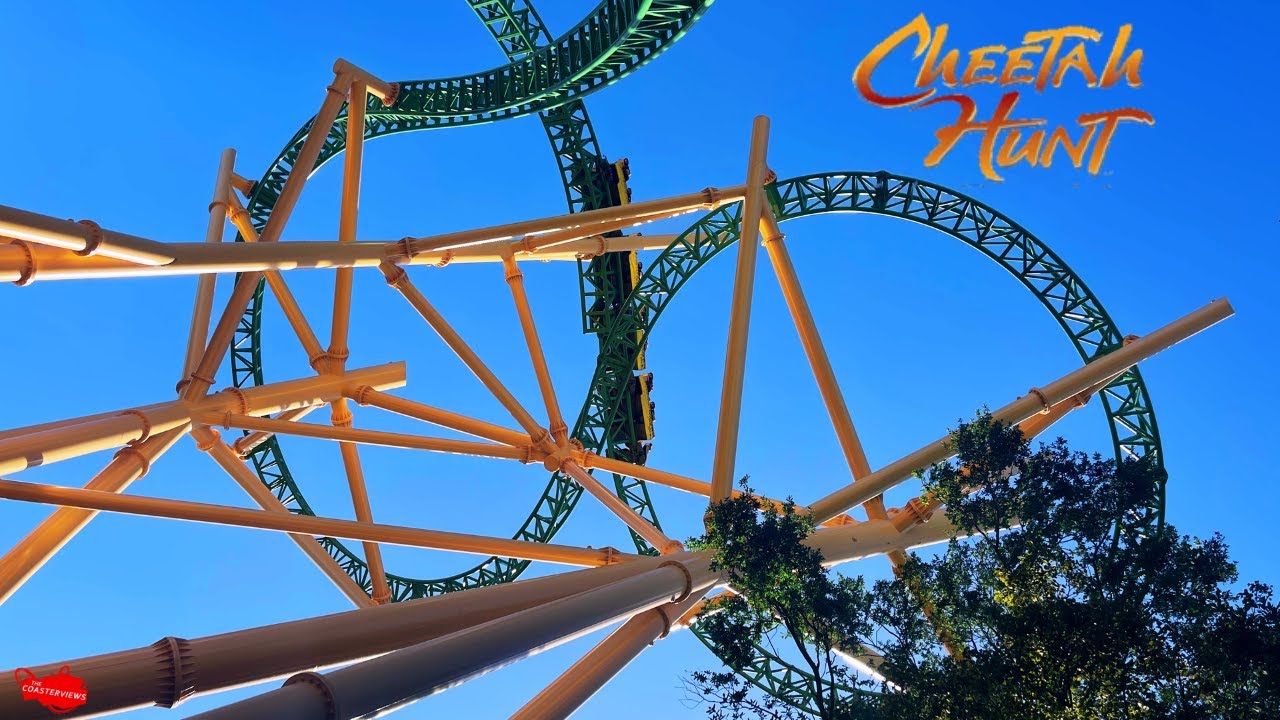 Cheetah Hunt Multi-launch Coaster POV Busch Gardens Tampa [4k] - YouTube
