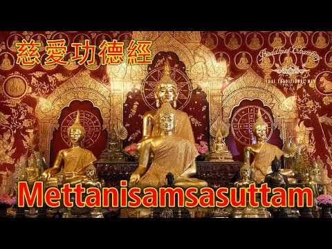 Paritta Chanting - Mettanisamsasuttam - 慈愛功德經﻿ - YouTube
