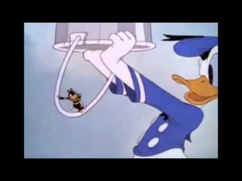 Donald Duck: Window Cleaners - YouTube