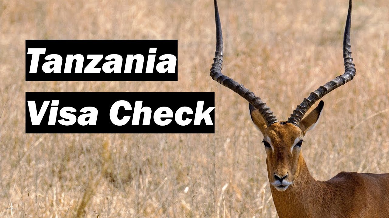 🇹🇿 Tanzania Visa Application Status Check - YouTube