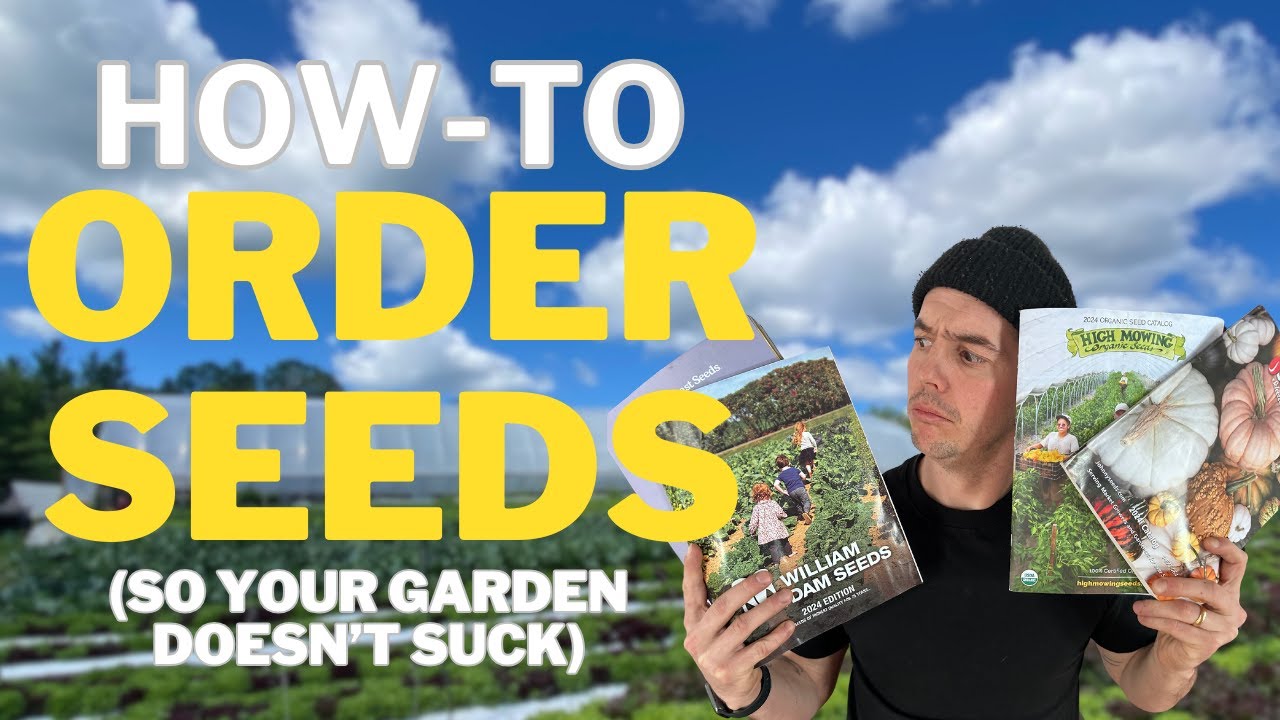 Ordering Seeds: Easy Tricks to Save you Time and Money while growing ...