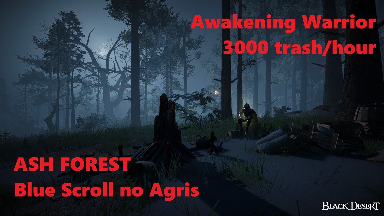 BDO Ash Forest AWAKENING WARRIOR 3000+ trash/hour Blue Scroll no Agris ...
