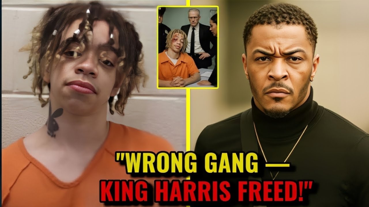 King Harris WALKS FREE | After Wrong-Gang Jail Incident — Judge SHOCKS ...