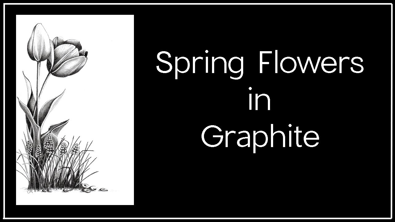 Spring Flowers in Graphite - YouTube