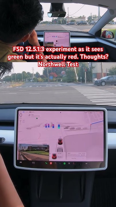 FSD 12.5.1.3 experiment, sees green but real red. Thoughts? Northwell ...
