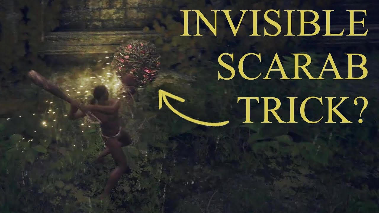 How To Easily Catch Invisible Scarabs In Elden Ring - YouTube