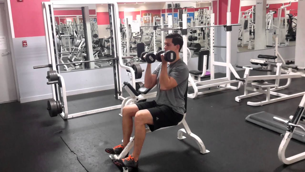 Seated Arnold Press - YouTube