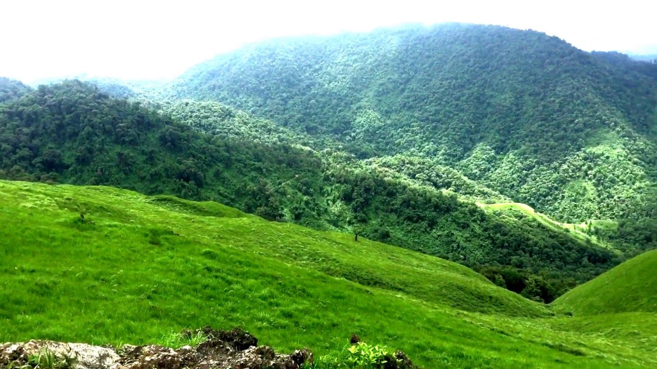 Shirui Lily Hills (Ukhrul) Manipur - YouTube