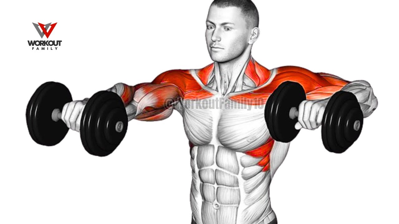 10 Best Shoulder Presses for Strength and Width | Muscle Building ...