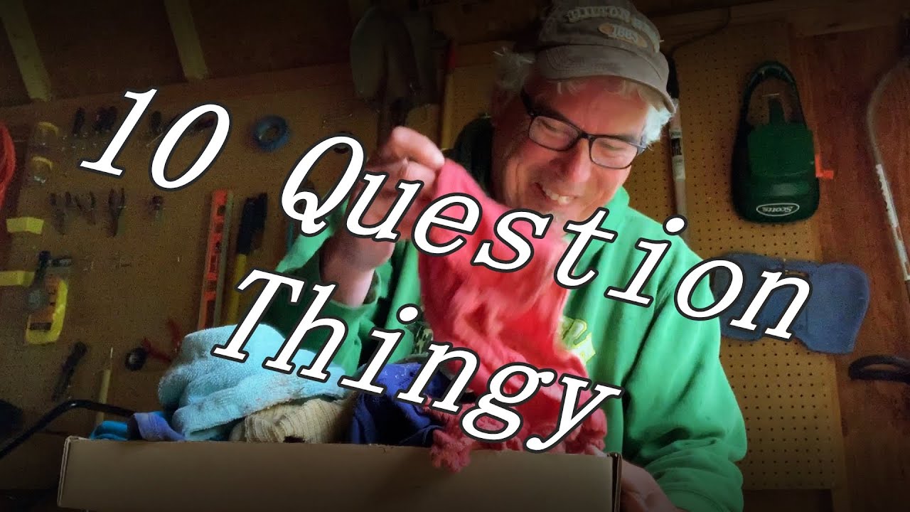 10 Pandemic Questions Thingy with Jules || semi comedy take - YouTube